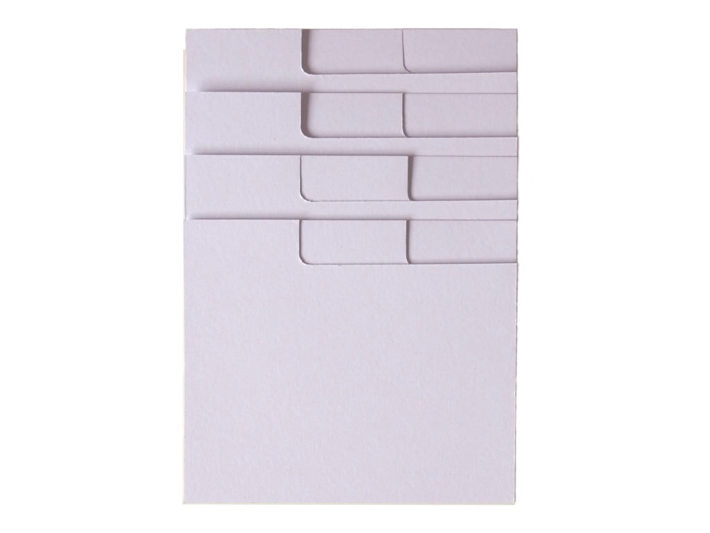 Exambundle 1000 flashcards + Leitner Boxes - Flashcards and Stationery